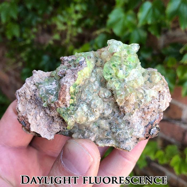 Hyalite Opal Mexico - Moriartys Gem Art