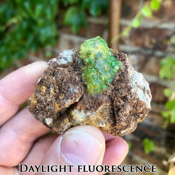 Home › All › Daylight Fluorescent Hyalite Opal