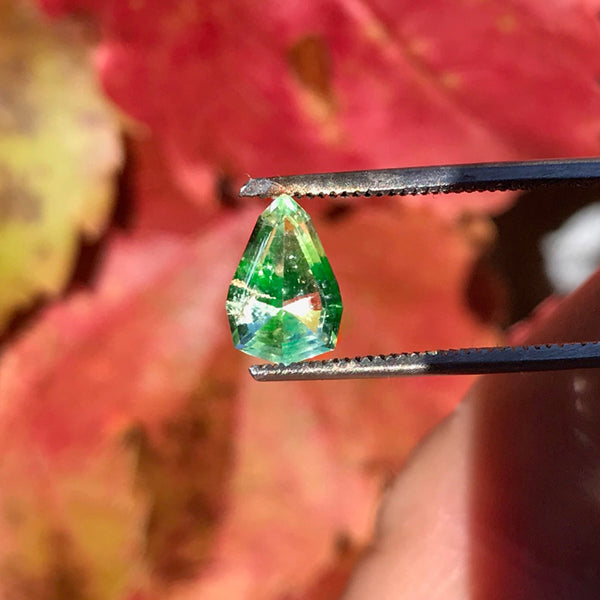 Home › All › Hyalite Pear Shape Opal Gemstone .80 Carats